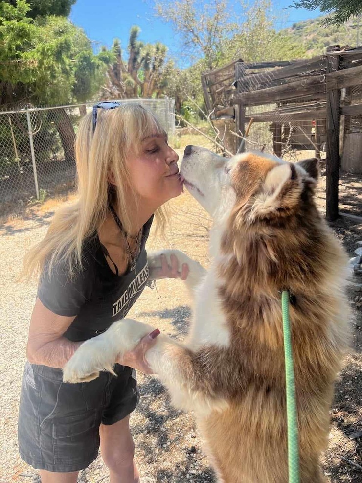 Picture of Linnea Quigley