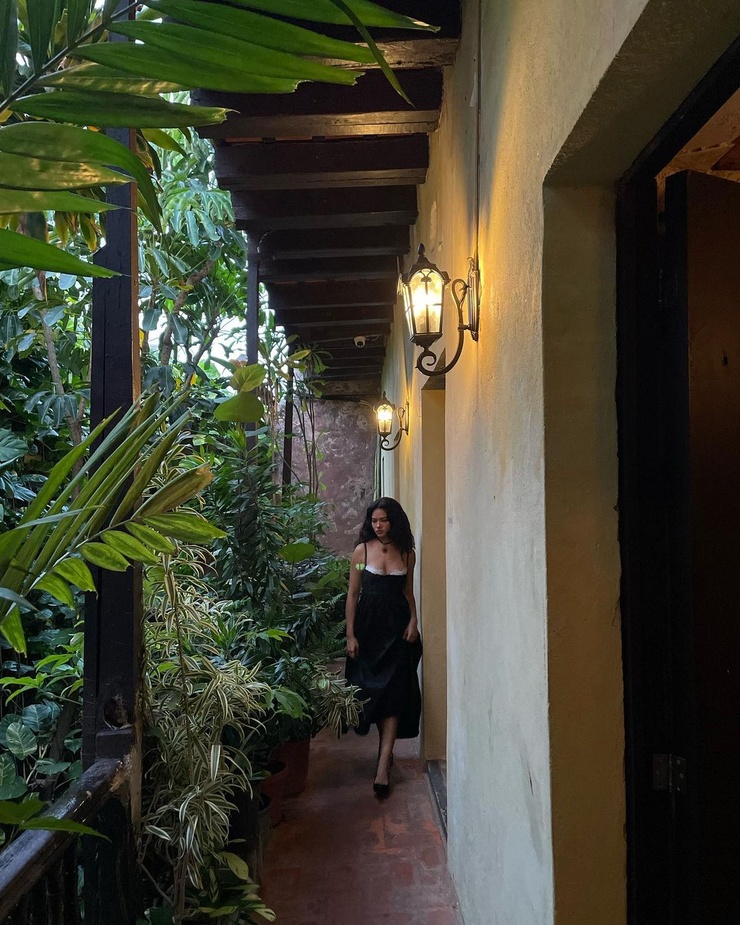 Picture of Cenit Nadir