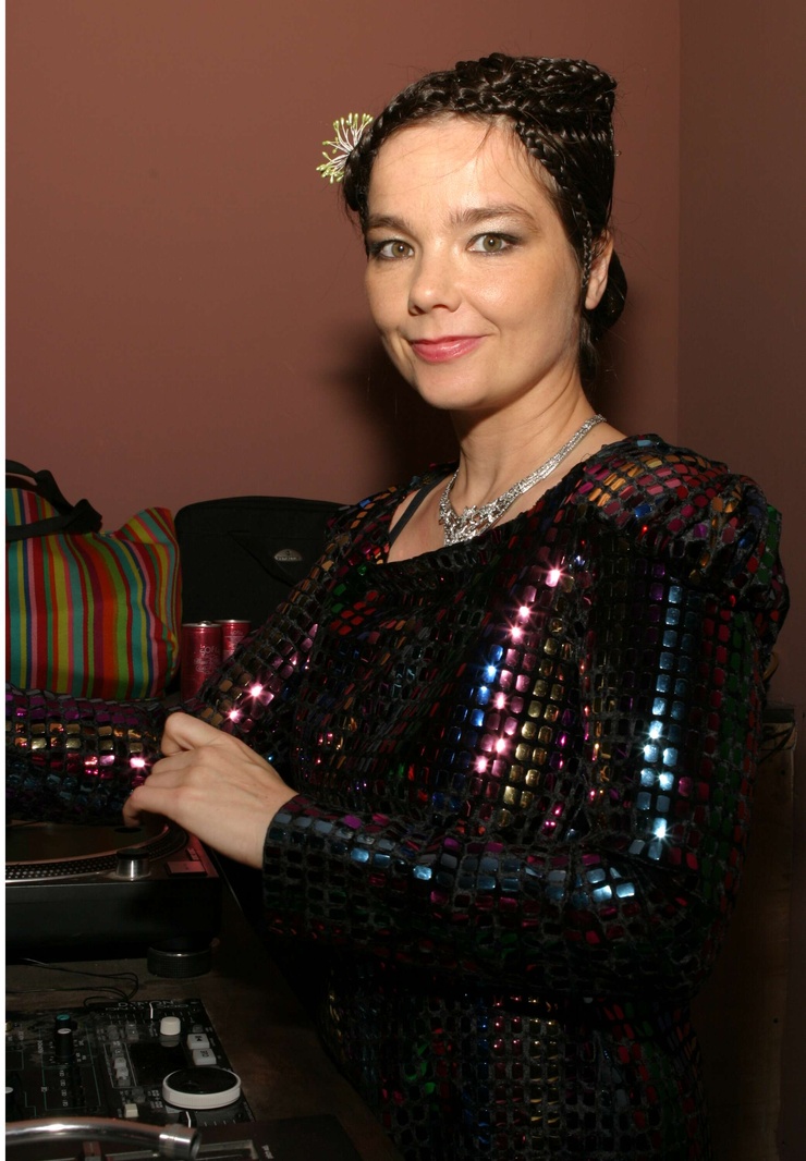 Picture of Björk