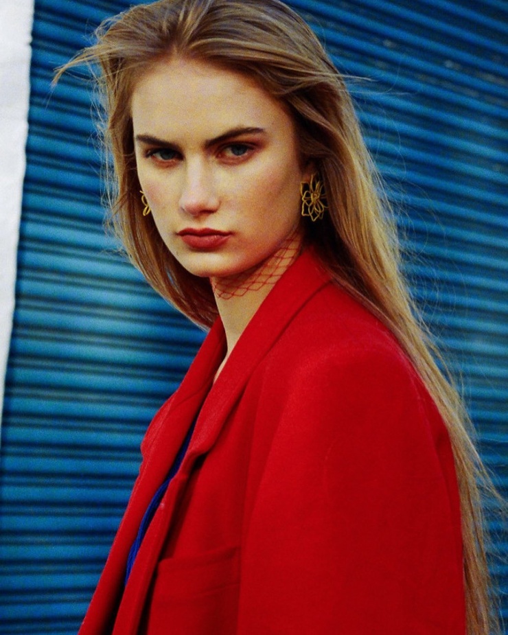 Picture of CICELY ROSE