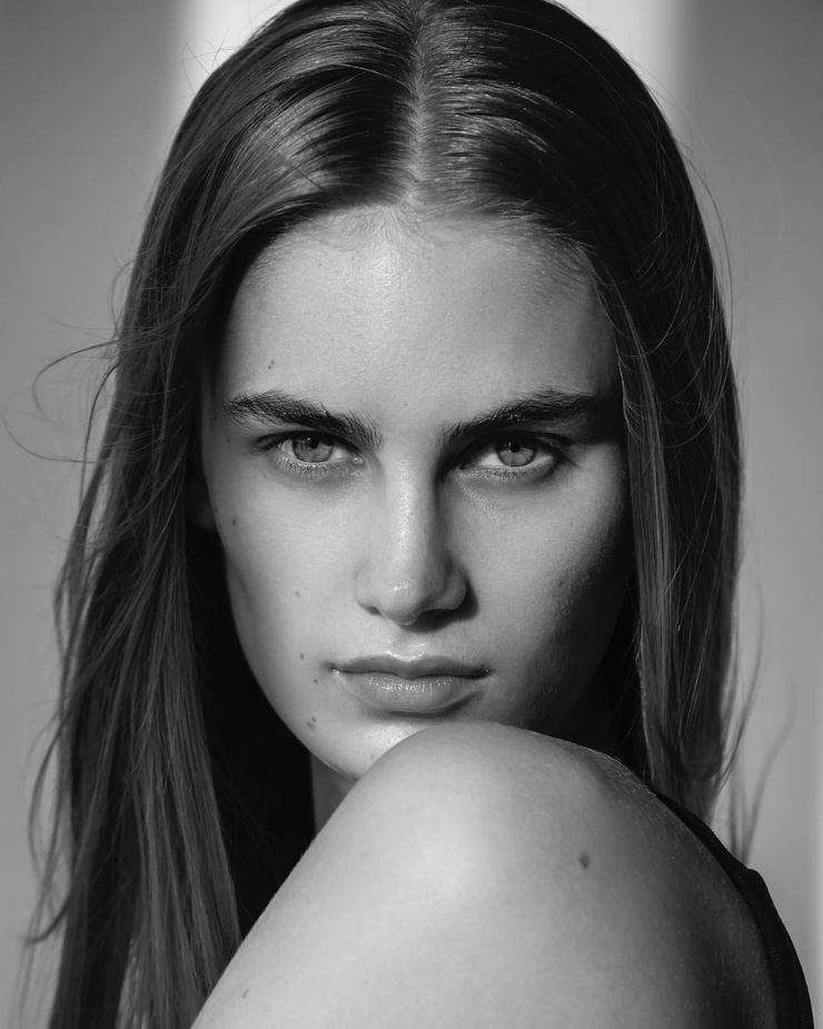 Picture of CICELY ROSE