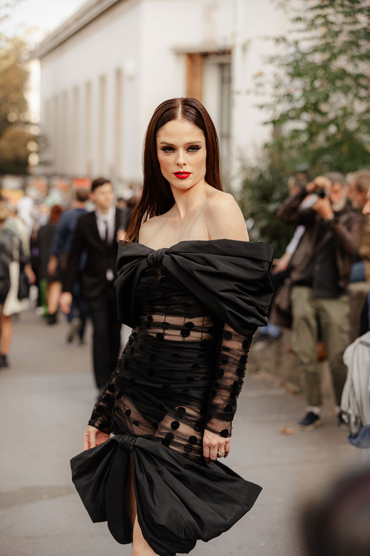 Picture of Coco Rocha
