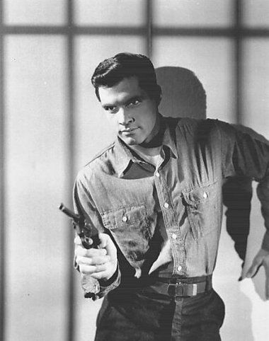 Picture of John Gavin