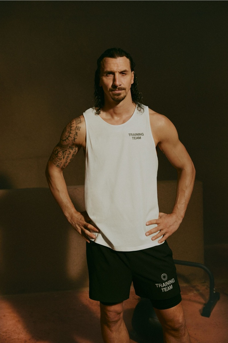 Picture of Zlatan Ibrahimovic