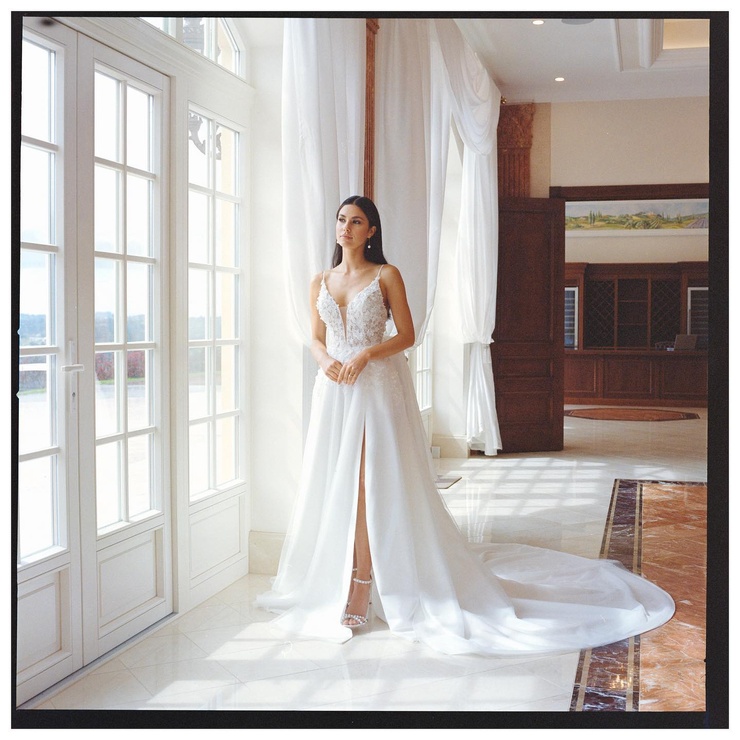 Tamara Markovic picture