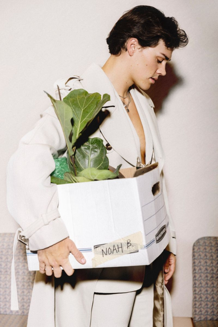 Picture of Noah Beck