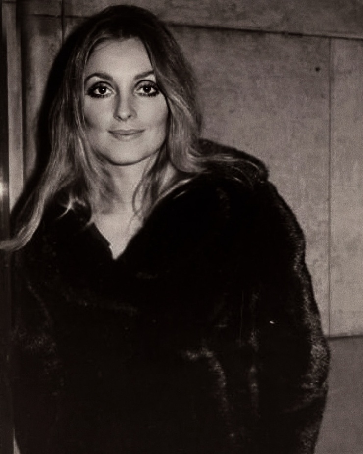 Picture of Sharon Tate