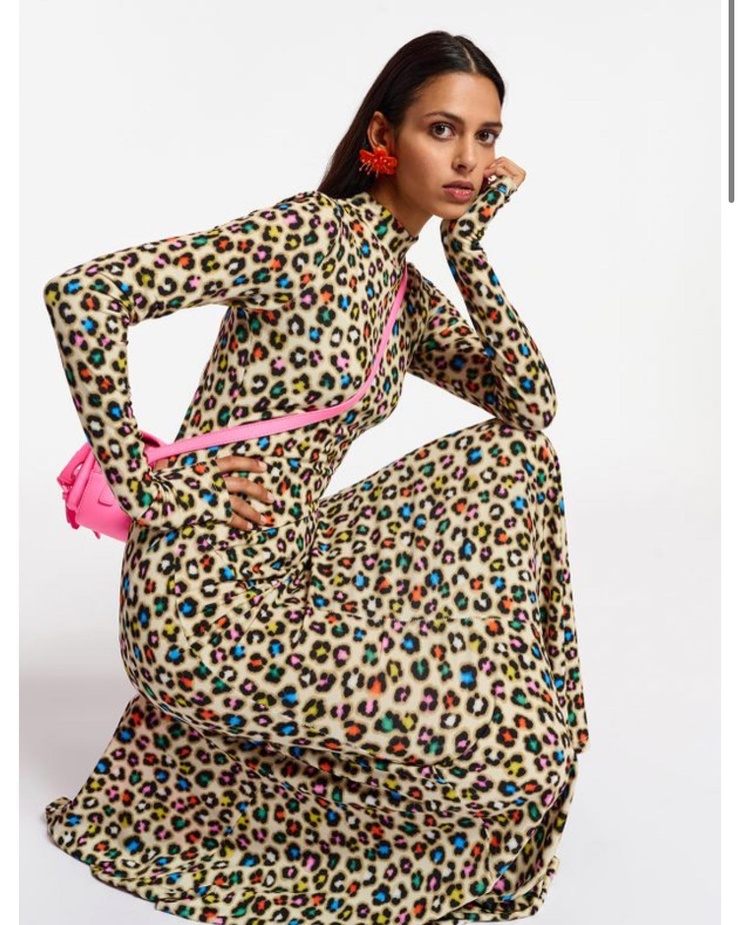 Devika Chelina image