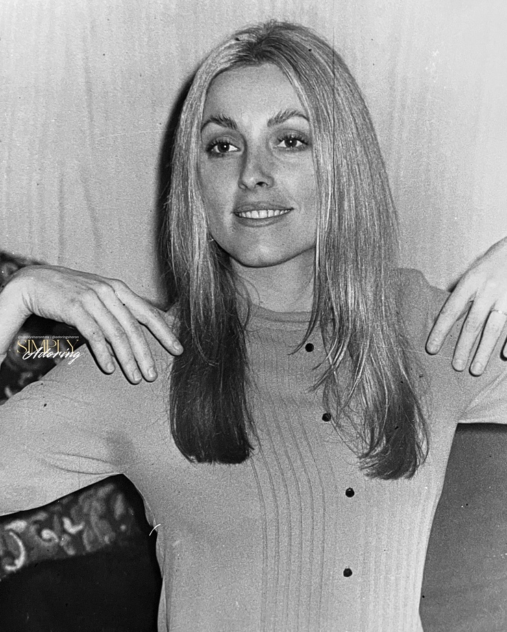 Picture of Sharon Tate