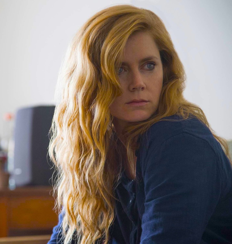 Picture of Amy Adams