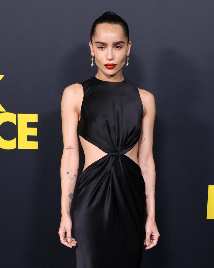 Picture of Zoe Kravitz