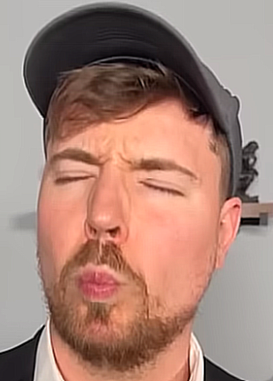 Picture of Mr. Beast