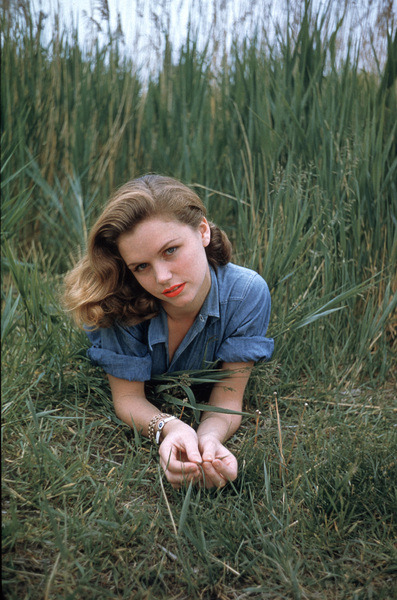 Picture of Lee Remick