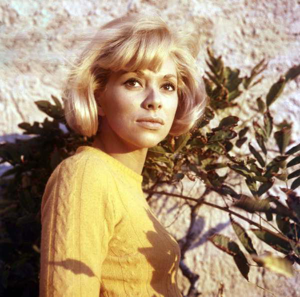 Mireille Darc picture
