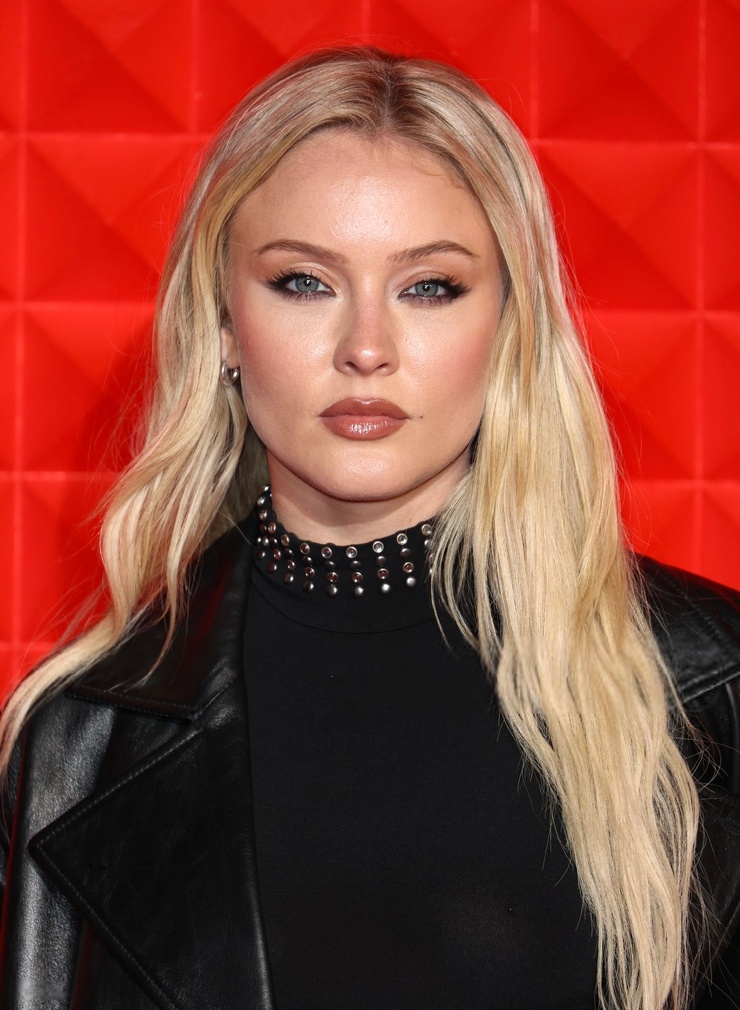 Zara Larsson image