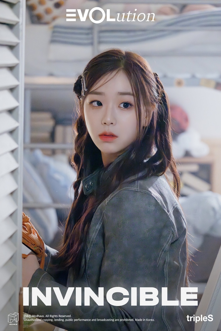 Picture of Evolution