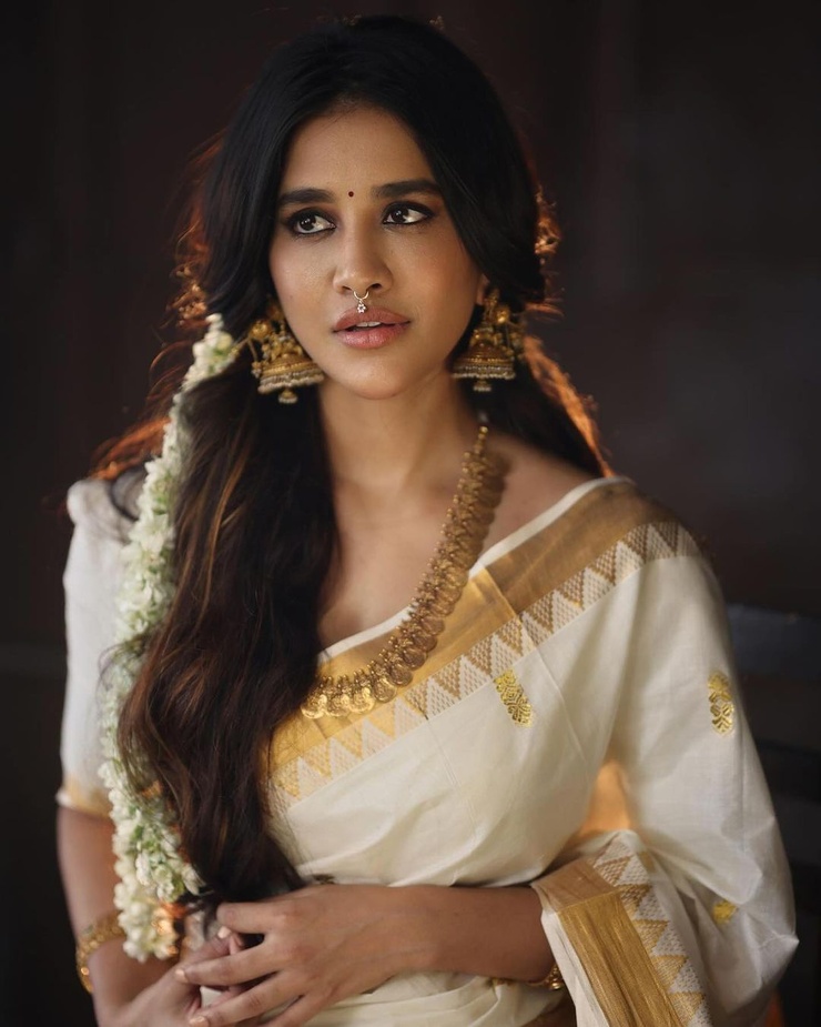 Picture of Nabha Natesh