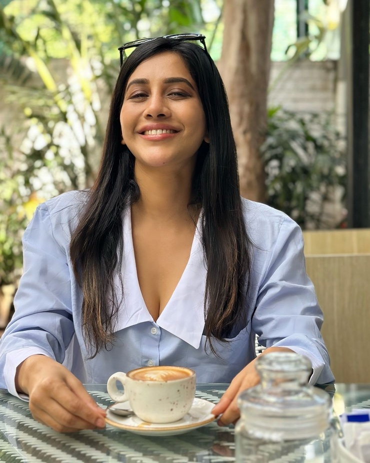 Nabha Natesh picture