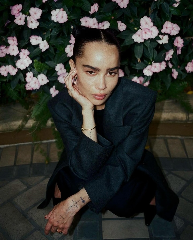 Picture of Zoe Kravitz