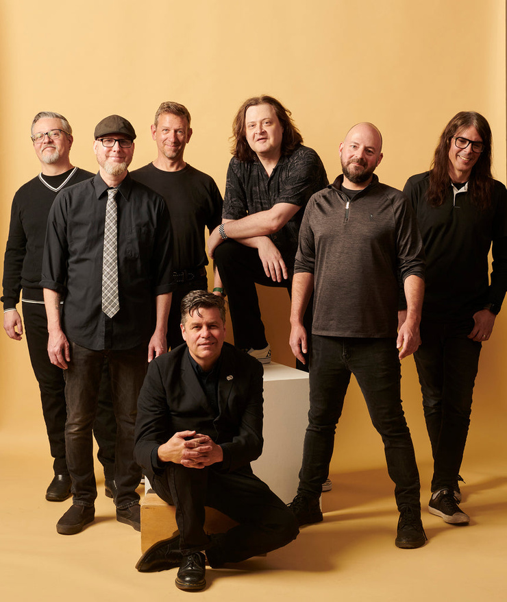 Picture of Mustard Plug