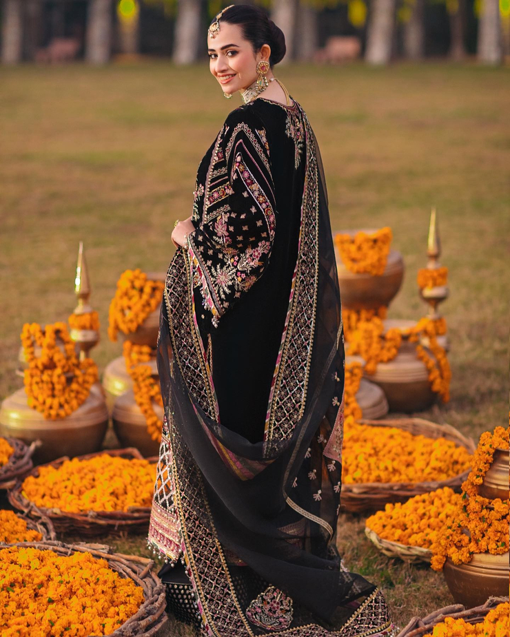 Picture of Sana Javed