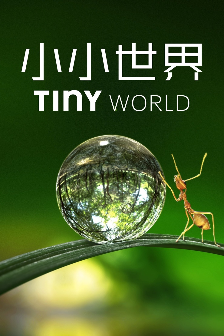 Tiny World image