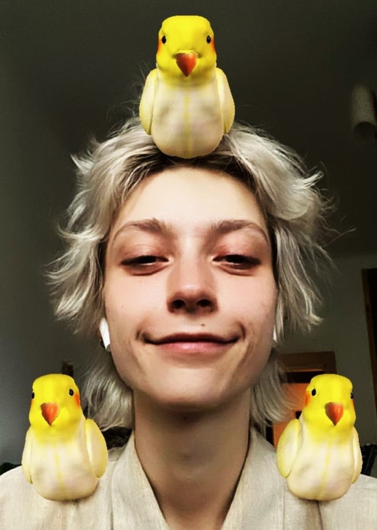 Алін Шевчик