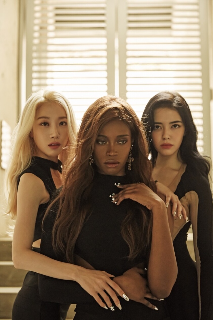 Picture of Blackswan