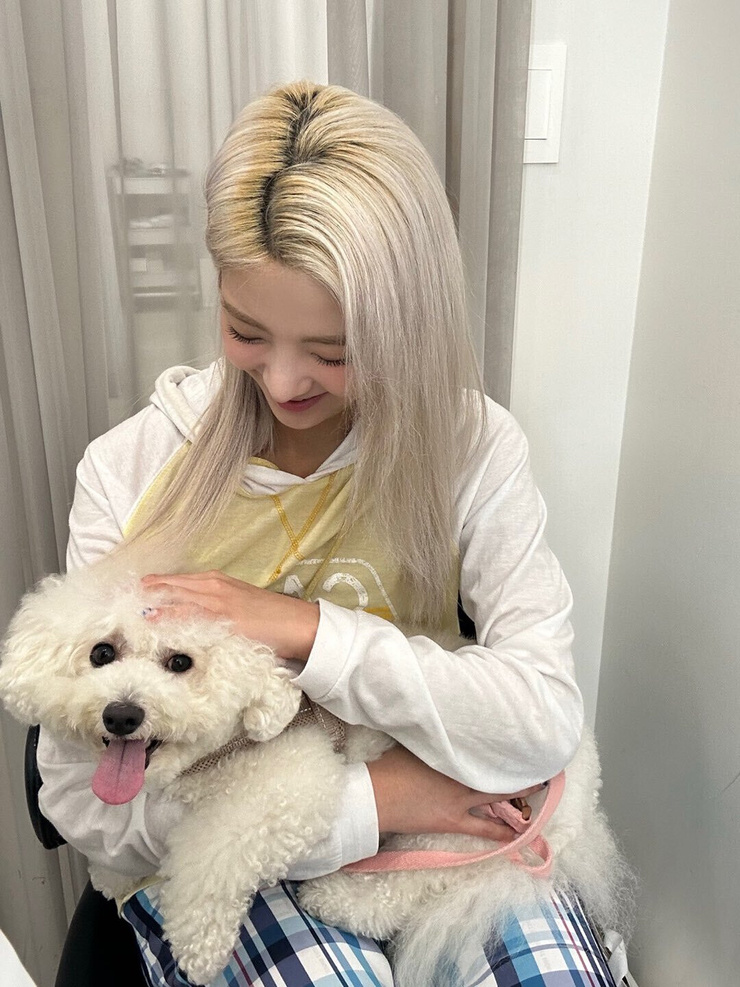 Picture of Choi Jisu