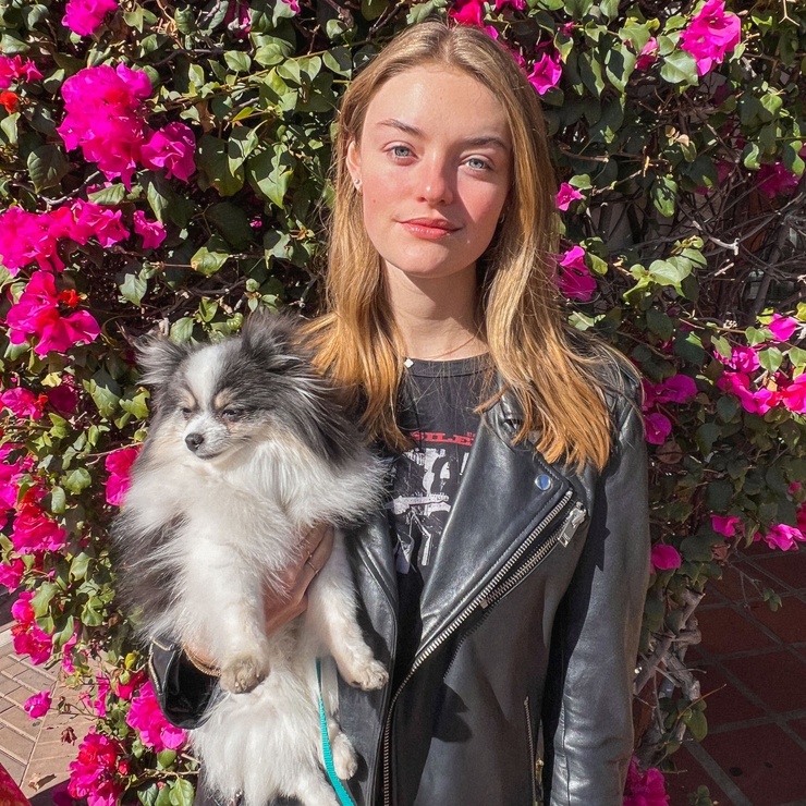 Picture of Willow Hand