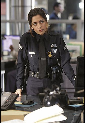 Picture of Sarah Shahi