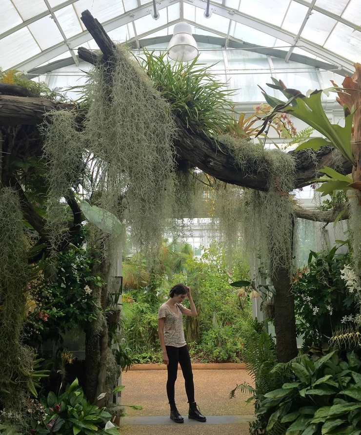 via Instagram (@_susan_coffey)