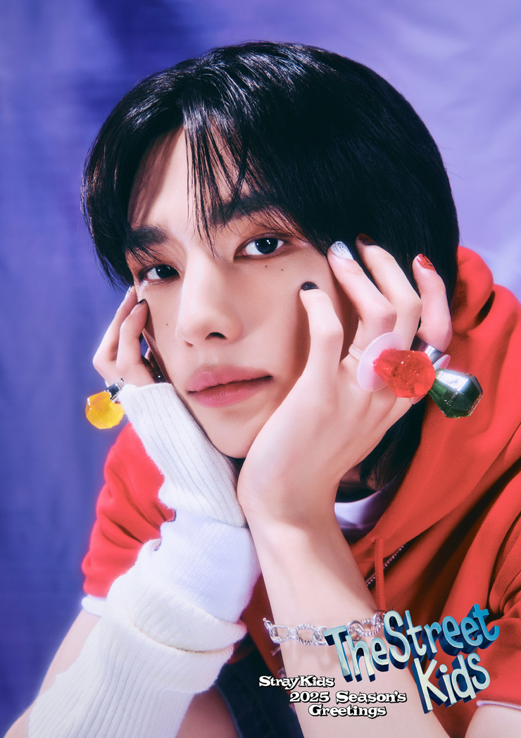 Picture of Stray Kids