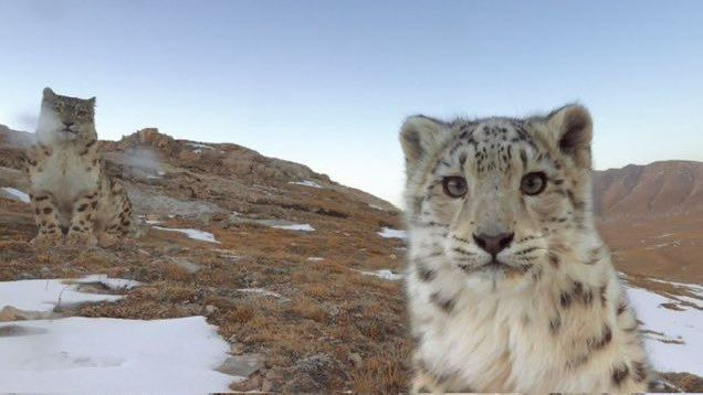 Listal - List the stuff you love! Movies, TV, music, games and books