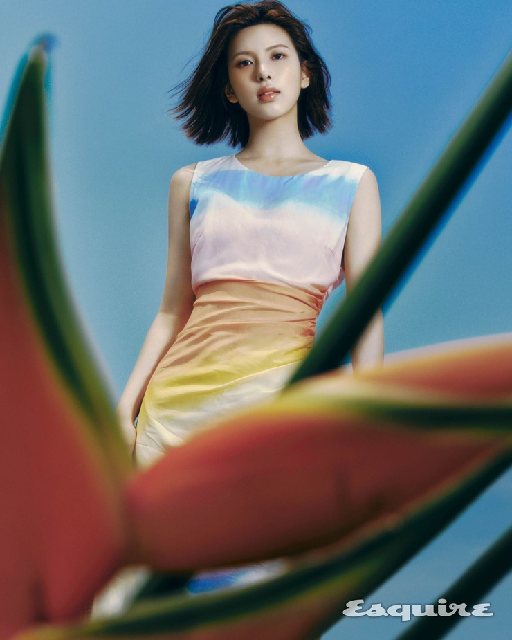 Picture of Jin-sol Bae