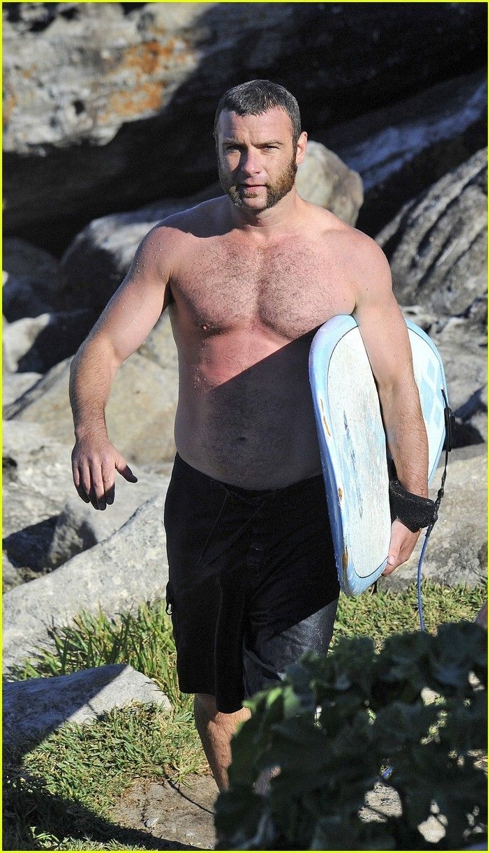 Picture of Liev Schreiber