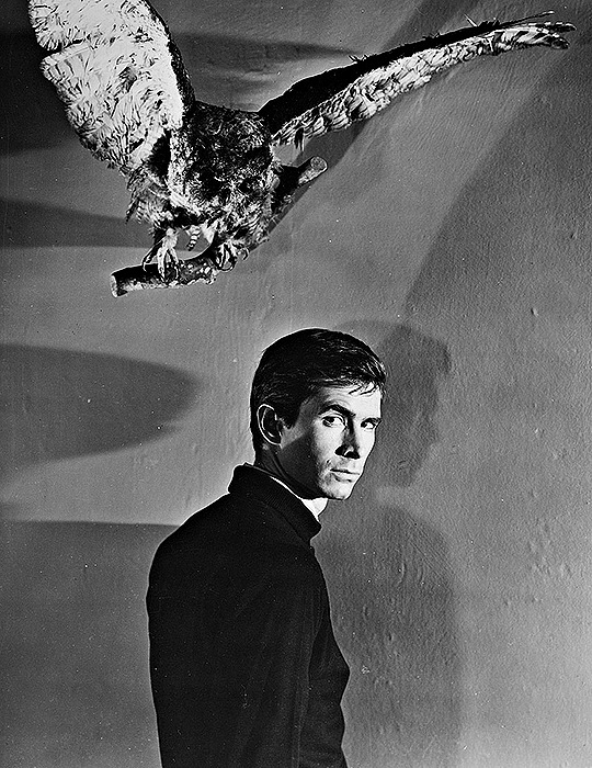 Picture of Anthony Perkins