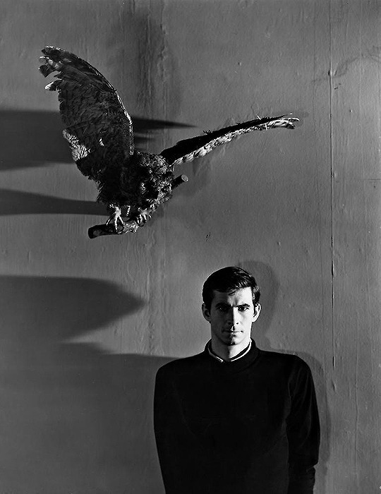 Picture of Anthony Perkins