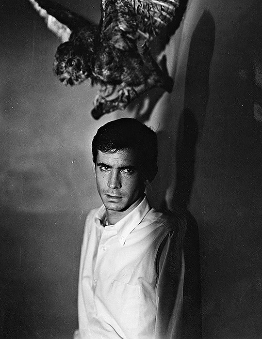 Picture of Anthony Perkins