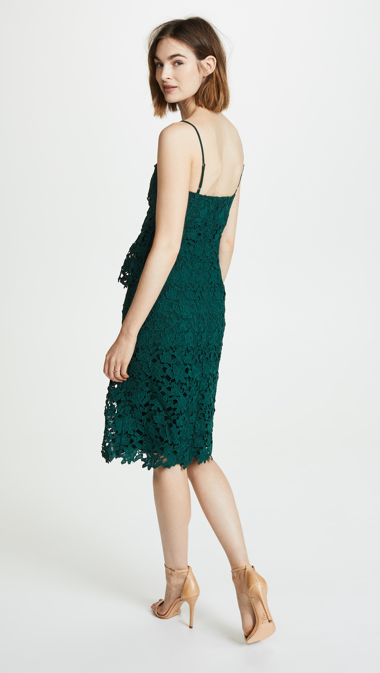 Picture of Laura Love