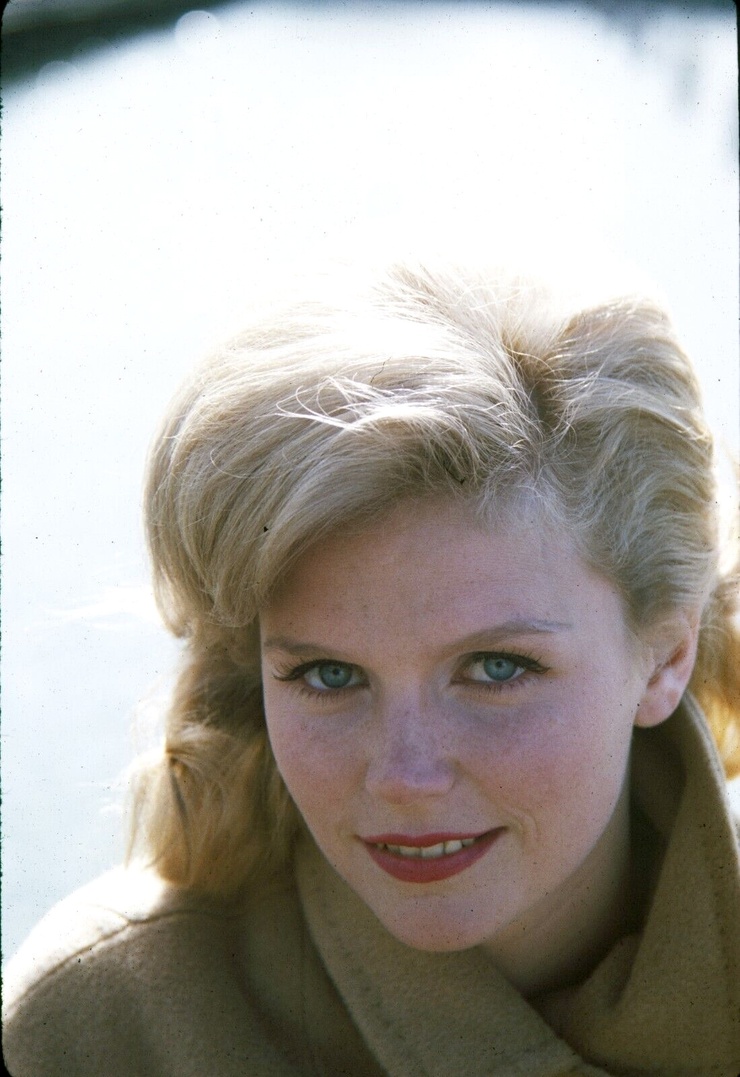 Lee Remick