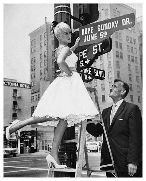 Hope Holiday, Arch Field