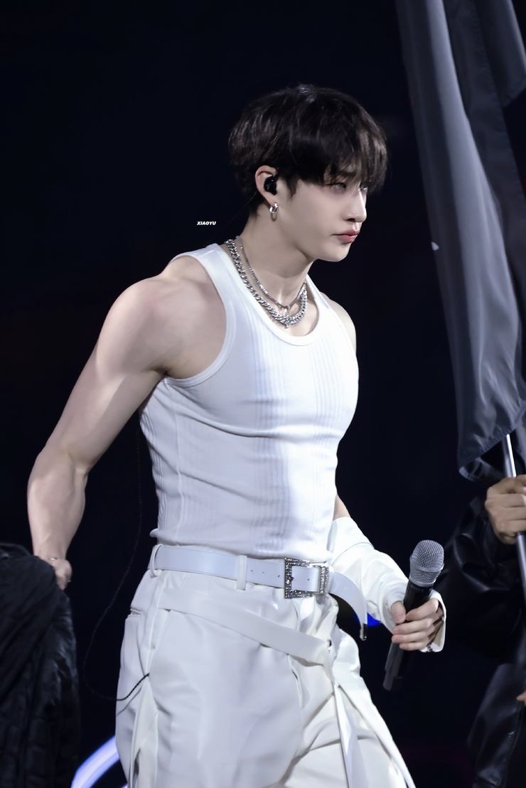 Picture of Bang Chan