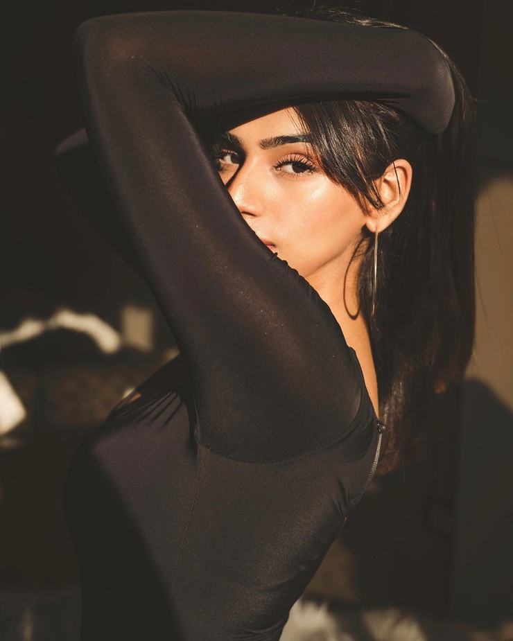 Picture of Pakhi Gadh