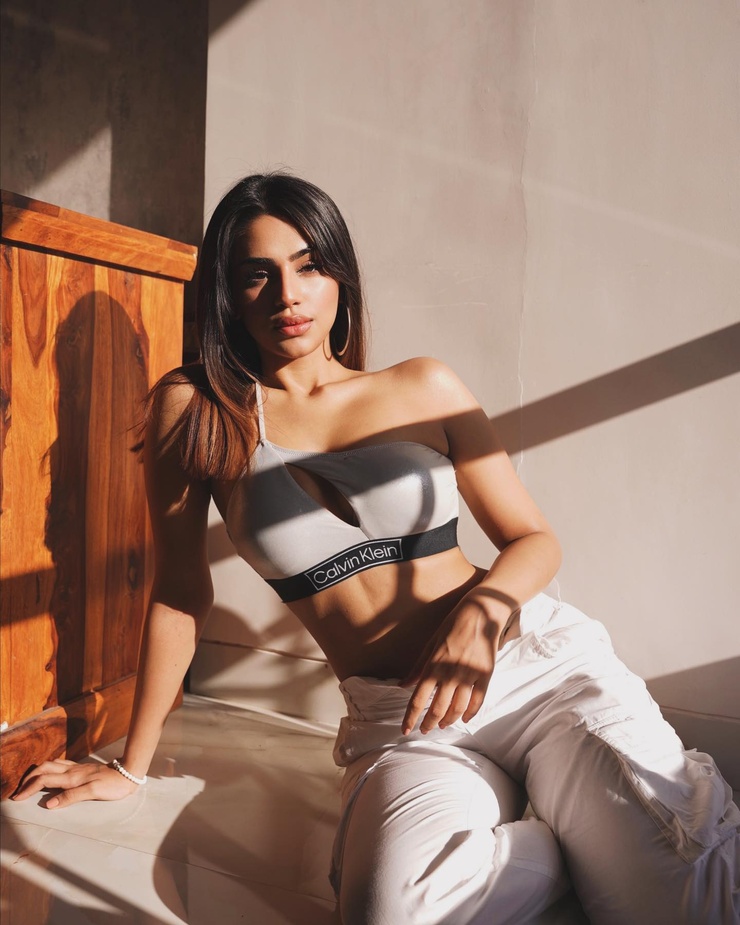 Picture of Pakhi Gadh