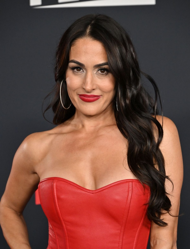 Picture of Nikki Bella