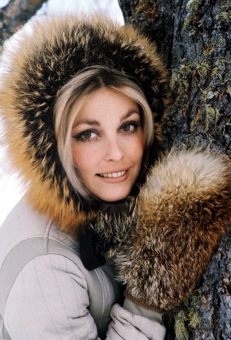 Picture of Sharon Tate