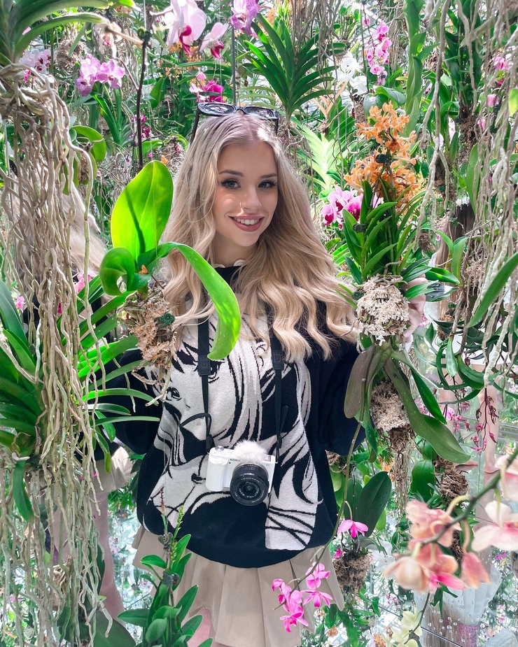 Picture of Berticuss