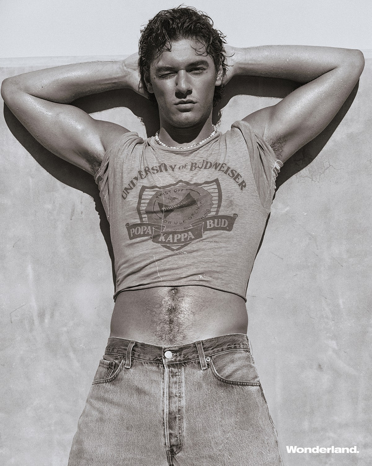 Picture of Belmont Cameli