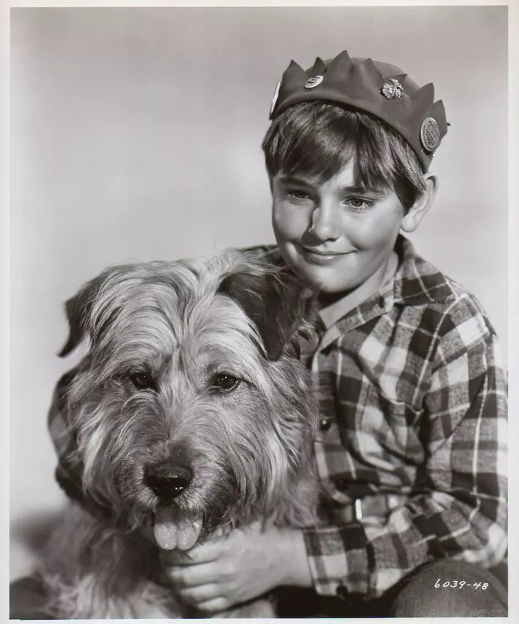 Shaggy, Georgie Nokes